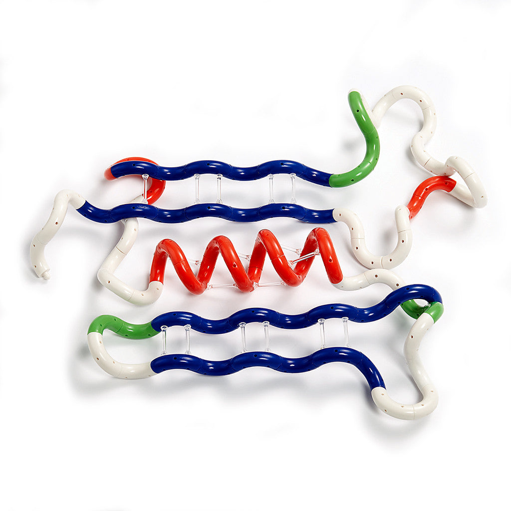 Tangle® Protein Building Set - Tangle Creations