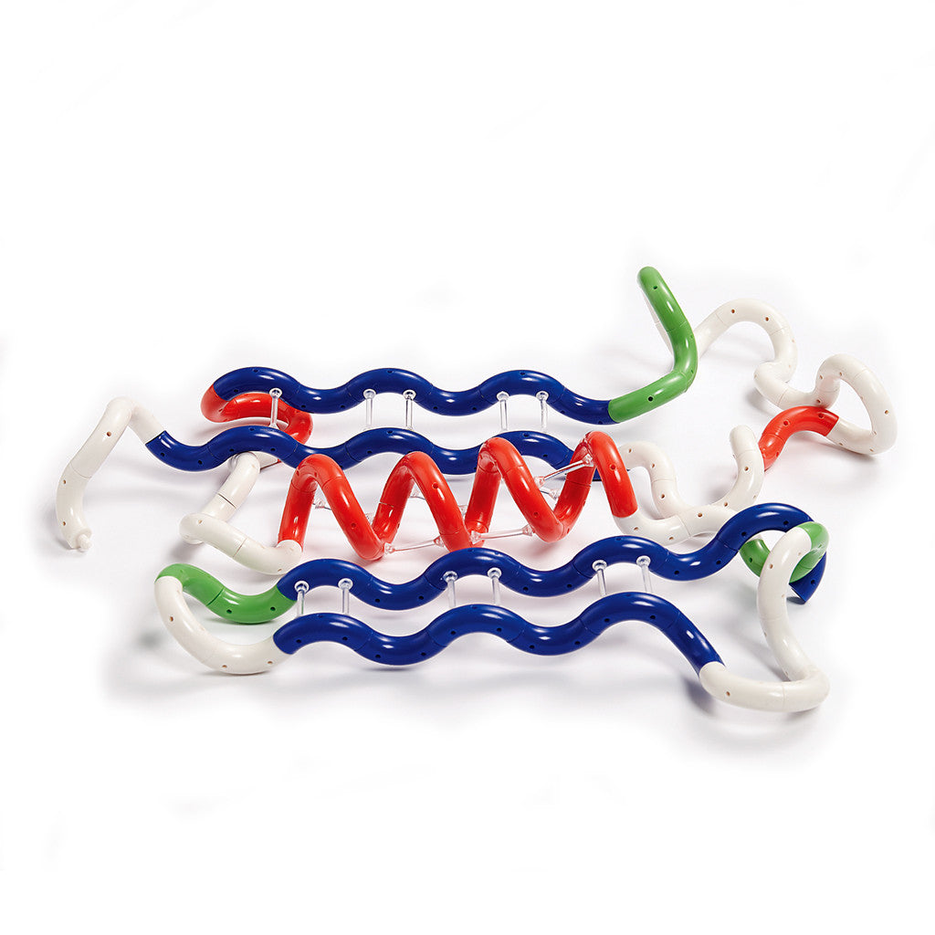 Tangle® Protein Building Set - Tangle Creations